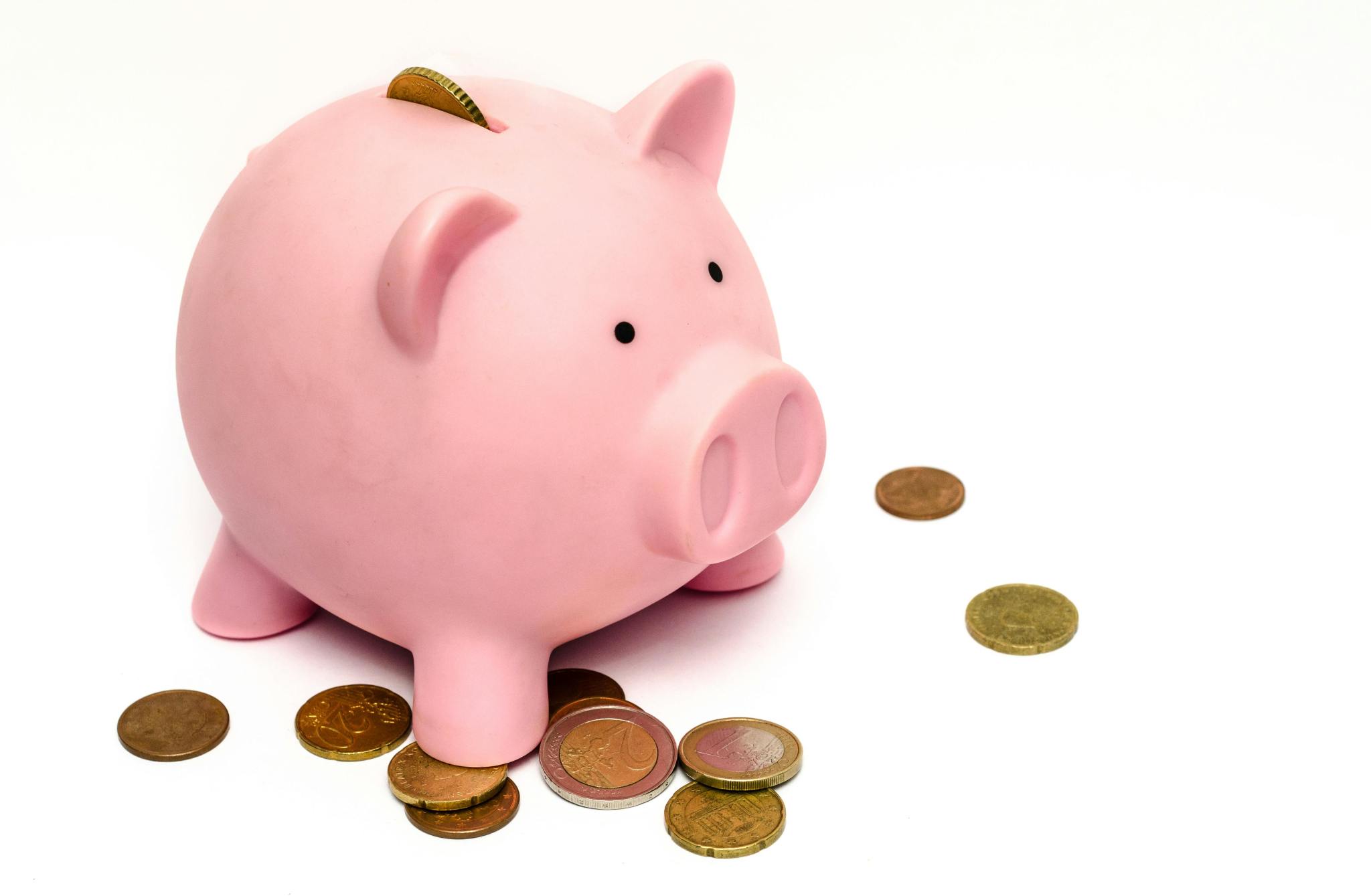 Understanding the FIRE, coast FIRE, and FINE movements – The Money Muse